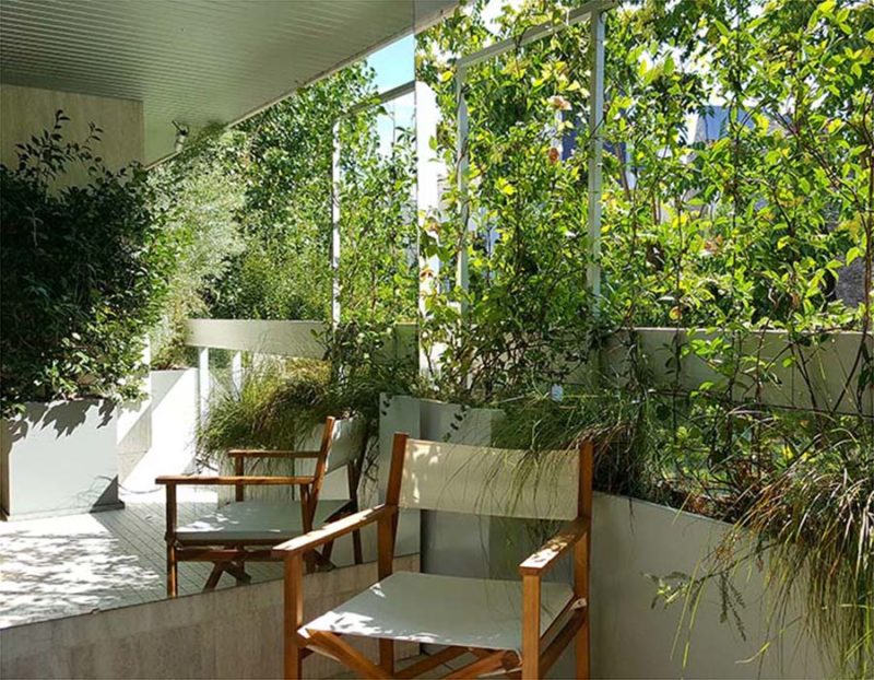 Aménagement d’un patio et de balcons à Paris - Variations Végétales